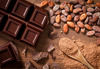 Evolution of chocolate manufacturers in Europe